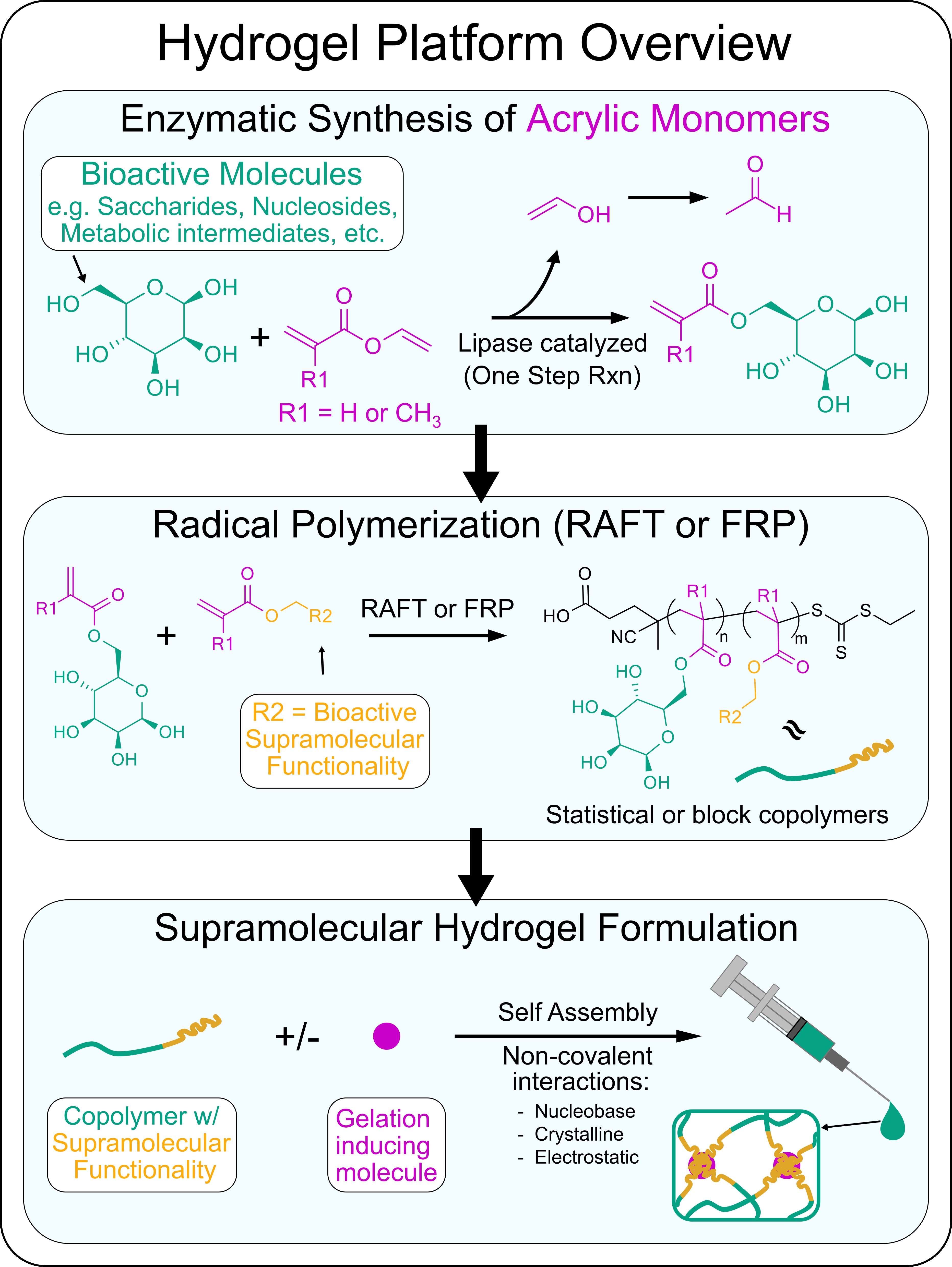 BIOE TOOLS – O'Shea Lab